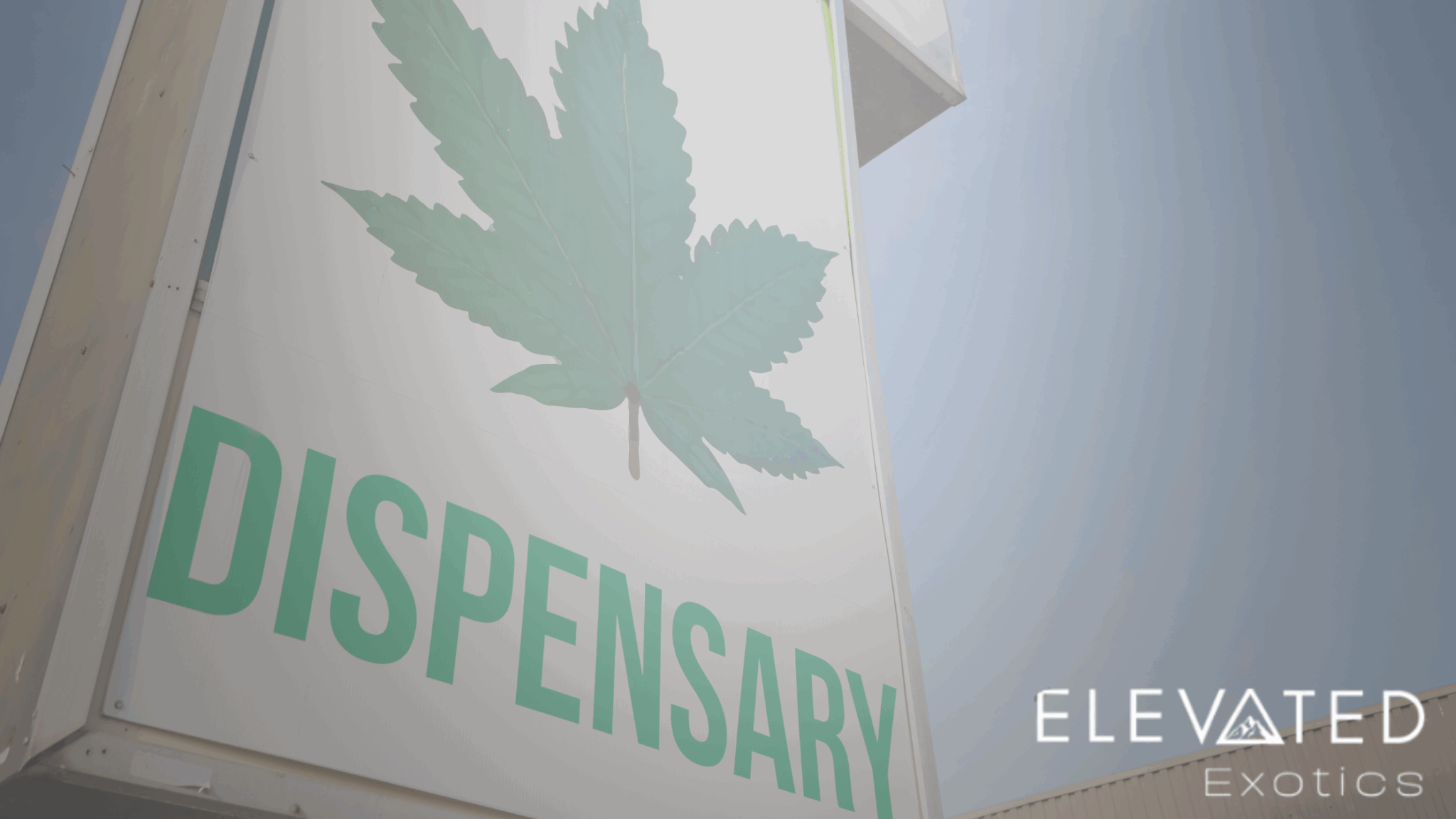 Best Cannabis Dispensaries in Michigan's Upper Peninsula - Elevated Exotics